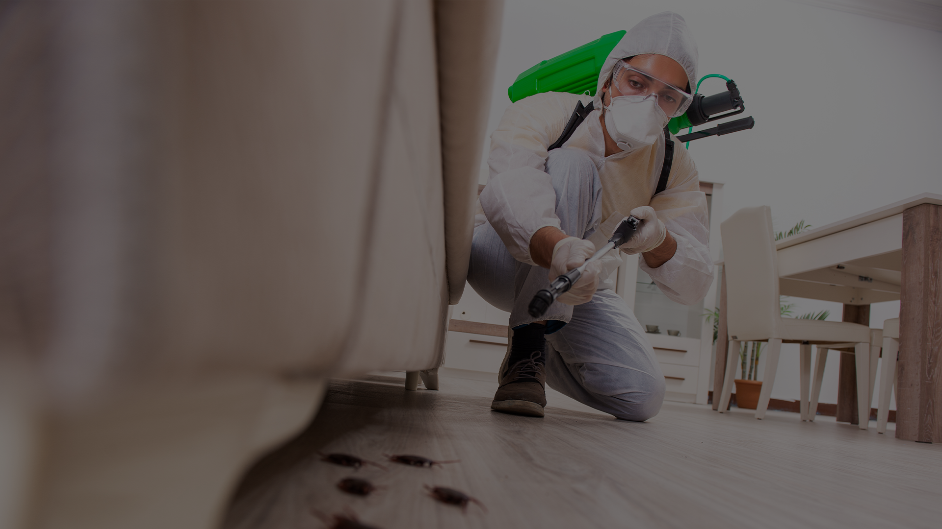 Mooresville's Trusted Pest Control Experts for Over 20 Years
